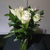 ProFlowers Reviews | Written By Customers in 2025
