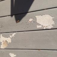 Top 71 Reviews and Complaints about Trex Composite Decking