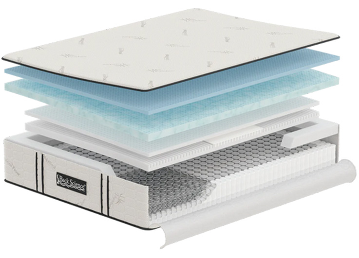 Back Science Reviews: Cost, Pros & Cons