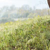 What Is Guaranteed Life Insurance? | ConsumerAffairs®