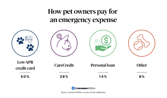 78% of Owners Willing to Go into Pet Debt for Emergencies ...