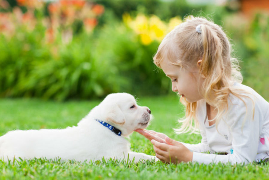 What's in it for kids who help care for the family pet?