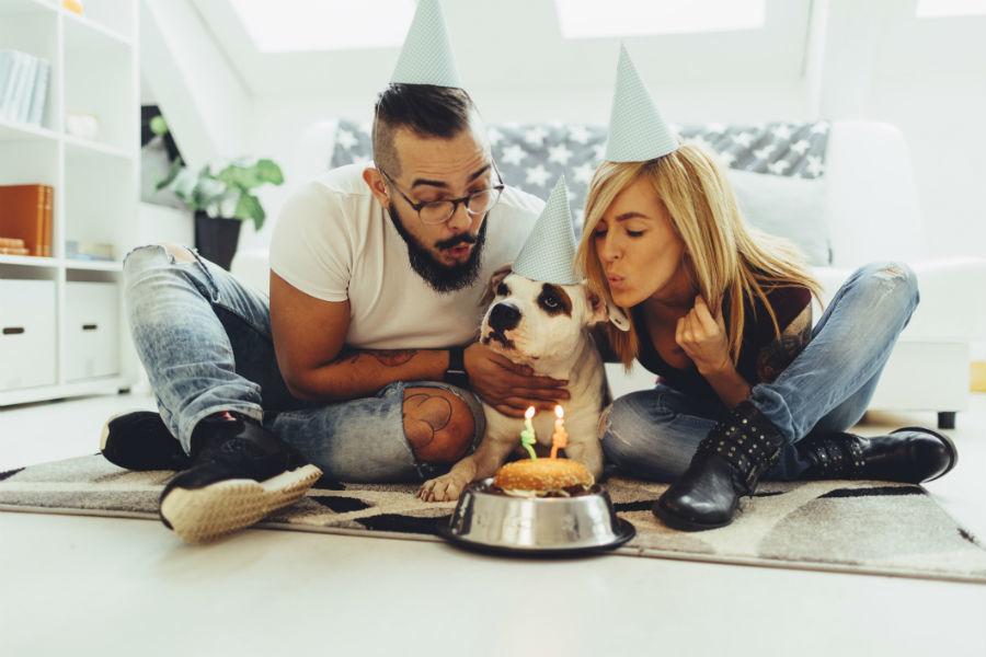 How the humanization of pets has impacted pet spending