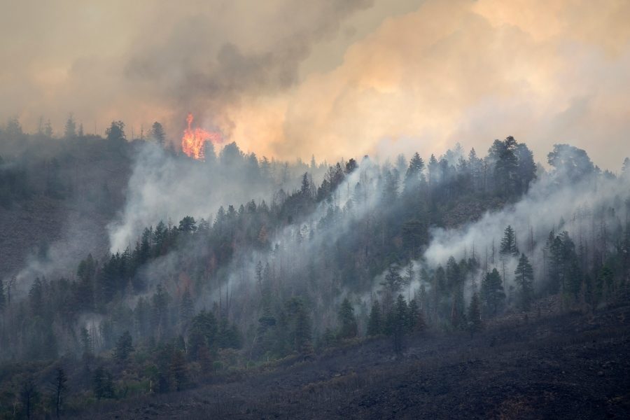 High Exposure To Wildfire Smoke Could Increase The Risk Of Cardiac Arrest