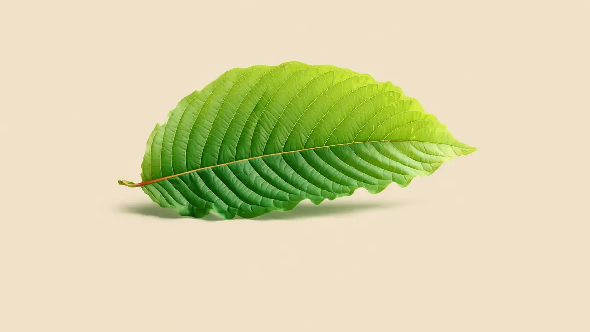 Advocates slam HHS over proposed ban of Kratom-derived compound 7-OH