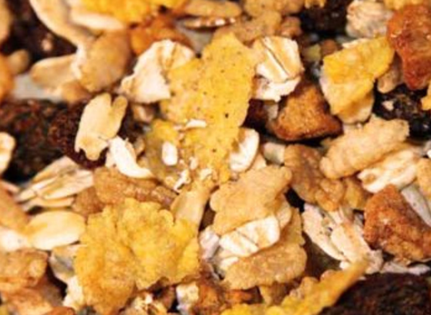 New England Natural Bakers Recalls Various Organic Products new-england-natural-bakers-recalls-various-organic-products
