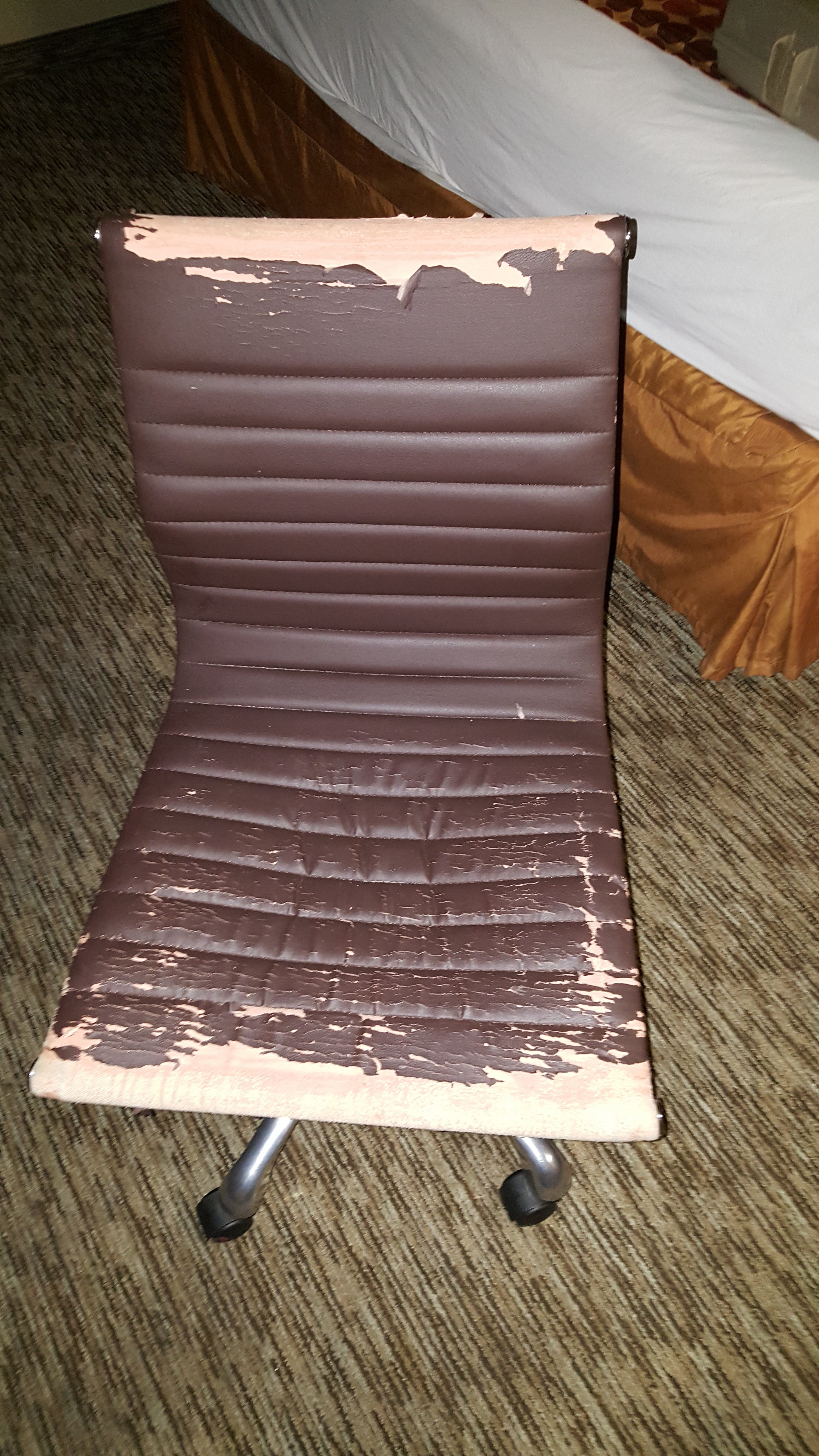 Top 882 Complaints and Reviews about Hotwire